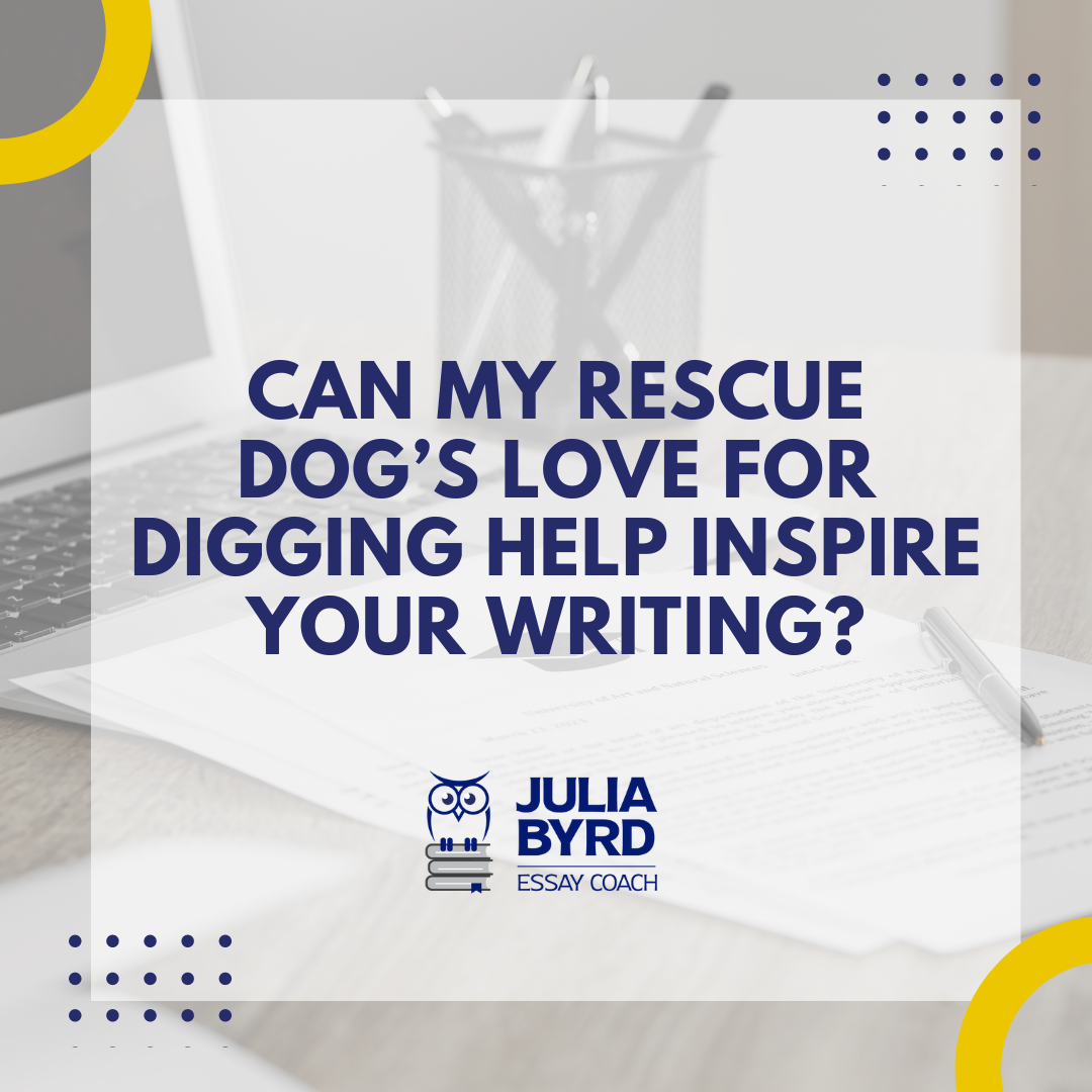 Can My Rescue Dog’s Love for Digging Help Inspire Your Writing? - Essay ...