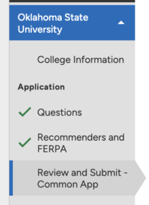 How to Preview Your Common App Application Before Submission - Essay Coach